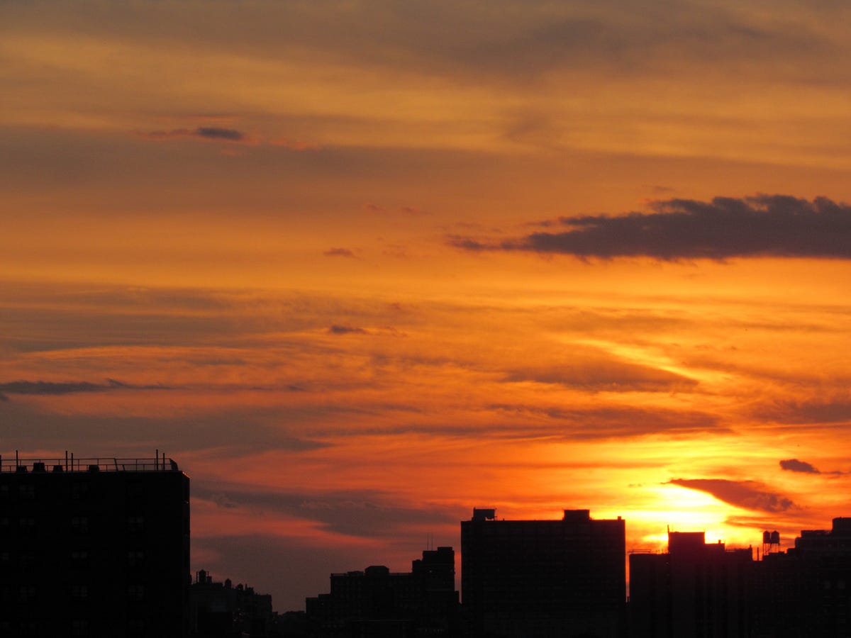 The End of Gentrification in Harlem | by Martika Ornella ...