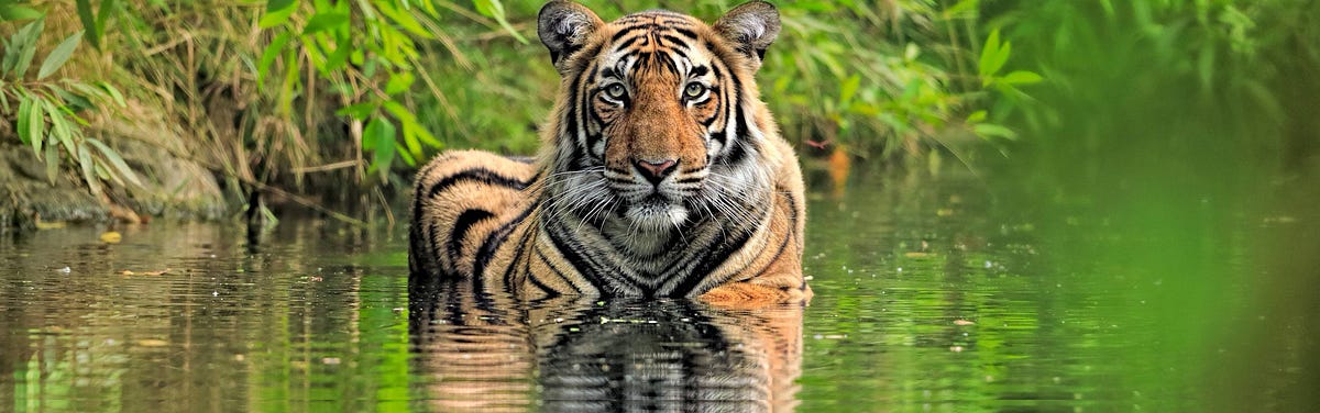 How Guru To Use Capturing Groups In Python Regular Expressions By Highly Distinguish Jul