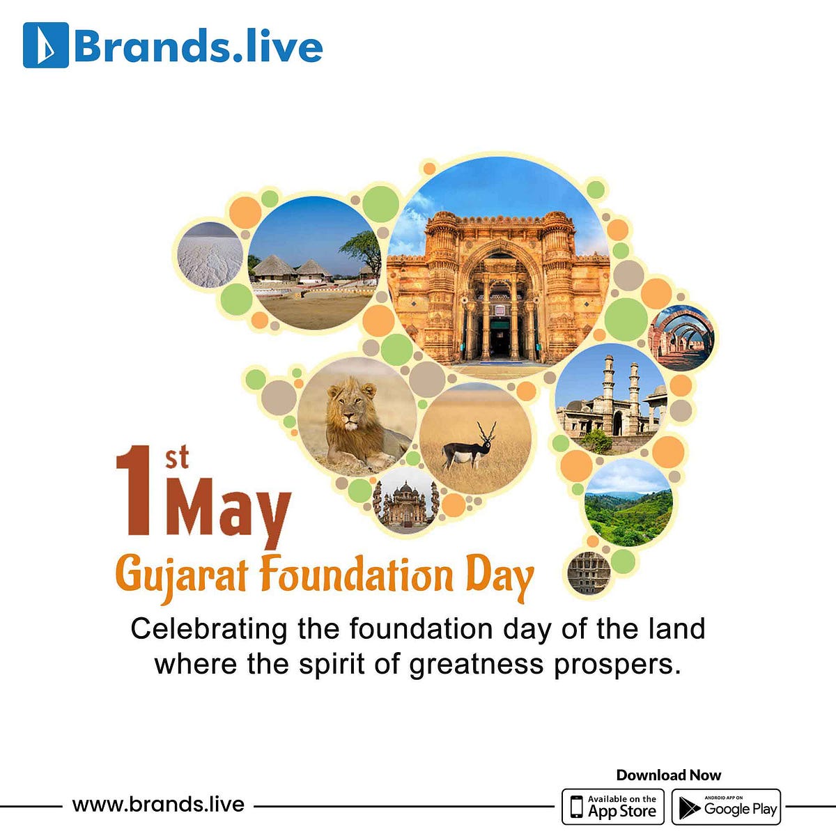 Gujarat Foundation Day: Celebrating the Land of Colors and Festivals ...