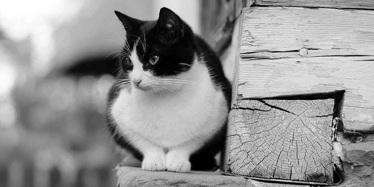 Talking Her Down Off the Ledge. The current importance of communication ...