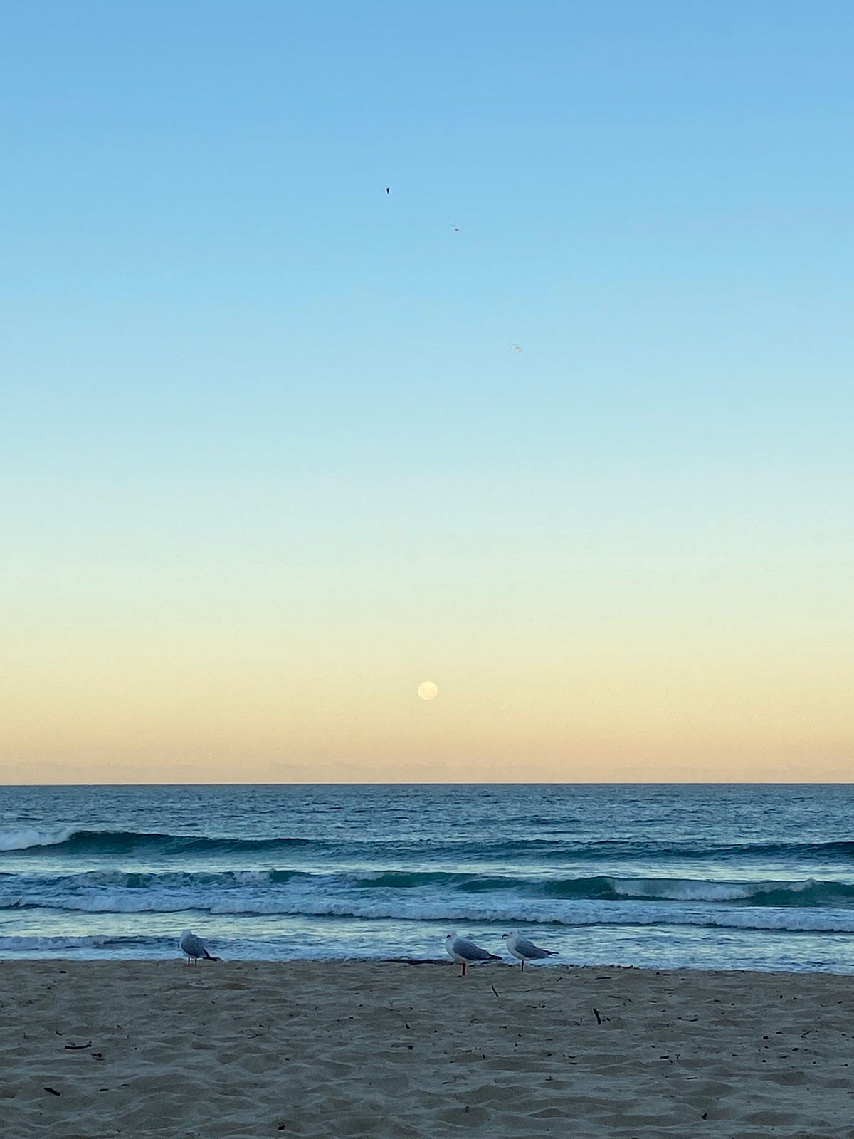 the ocean & the puddle. a fable of expectations… | by nicole loving ...