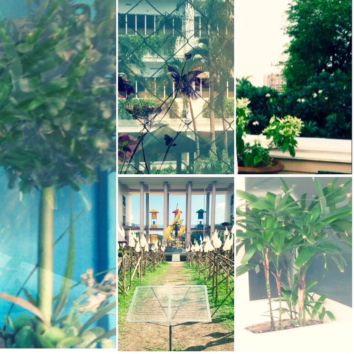 Aesthet IA#1-Art in everyday. This collaged photo includes my… | by Gf Flores | Medium
