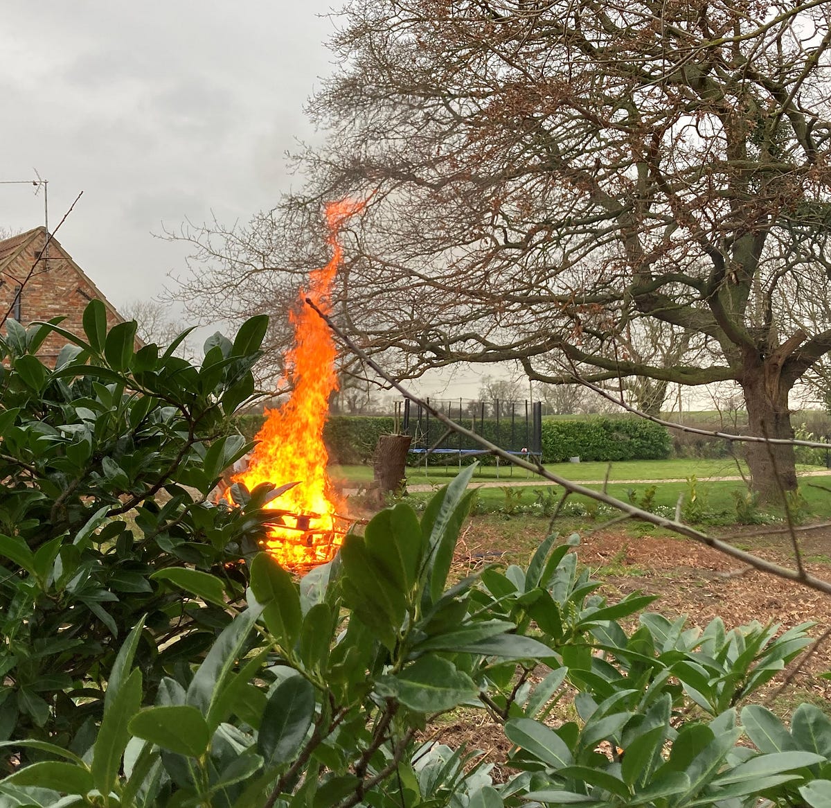 Hot, Fast, Coming At Us | by Penny Grubb | The Daily Cuppa