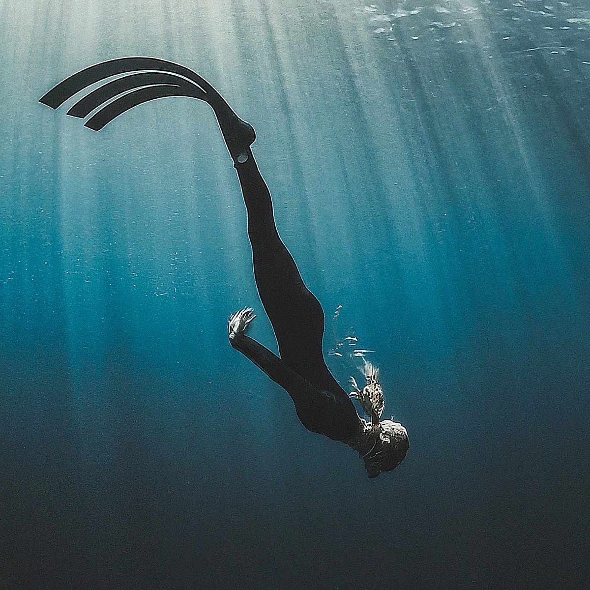 Why Freediving? Discover the Wonders of Breath-Hold Diving | by A ...