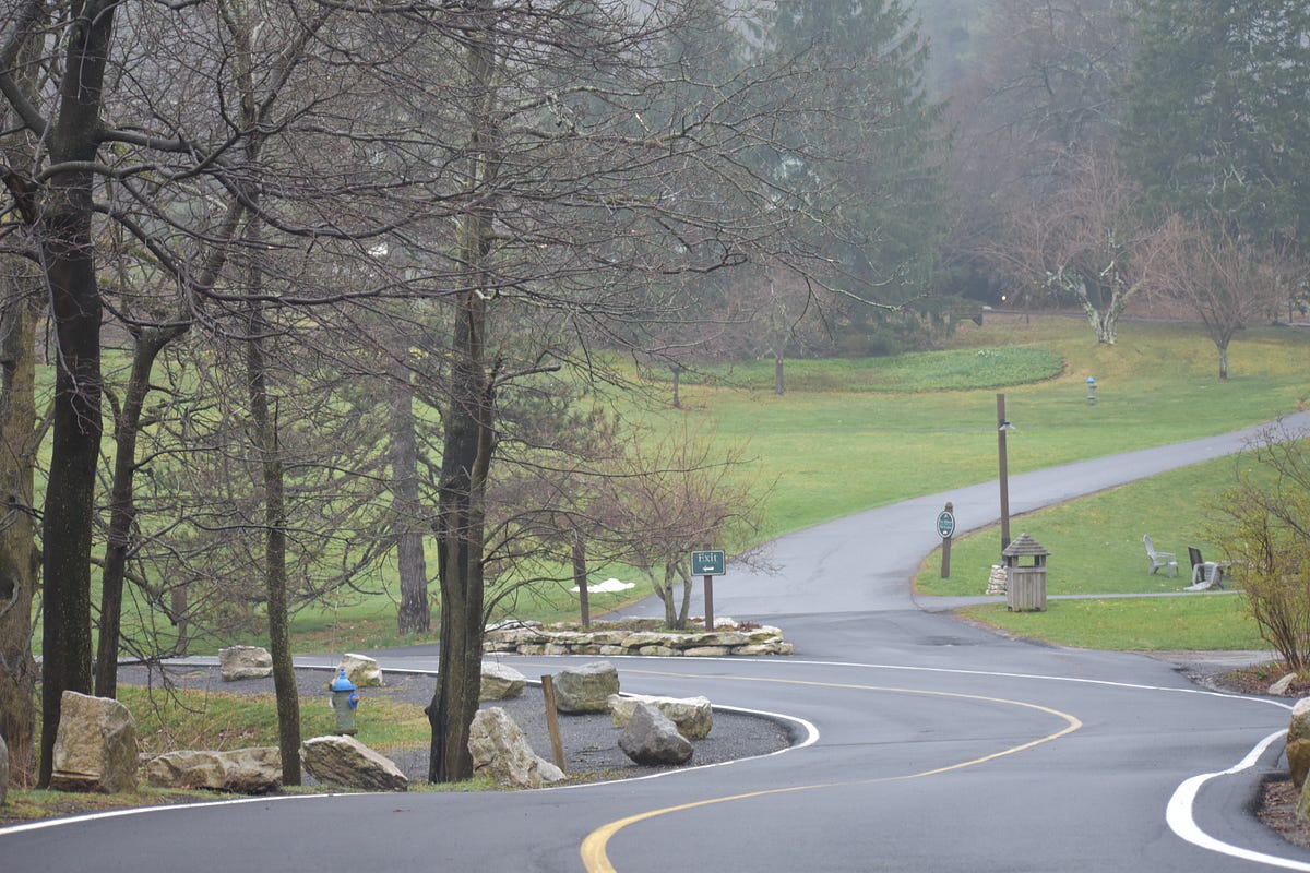 Grieving The Living. Without proper care and feeding… | by Jacqueline ...