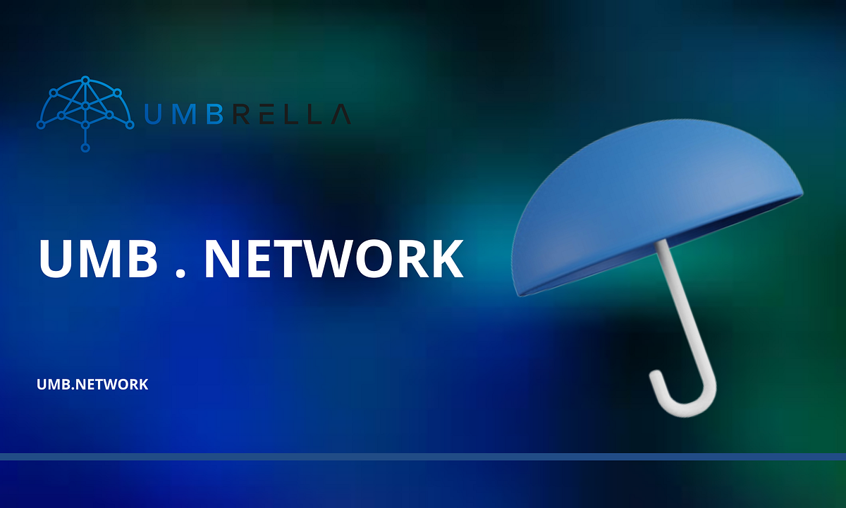 GAIN INSIGHT INTO THE ARCHITECTURE BEHIND THE UMBRELLA NETWORK | by De ...