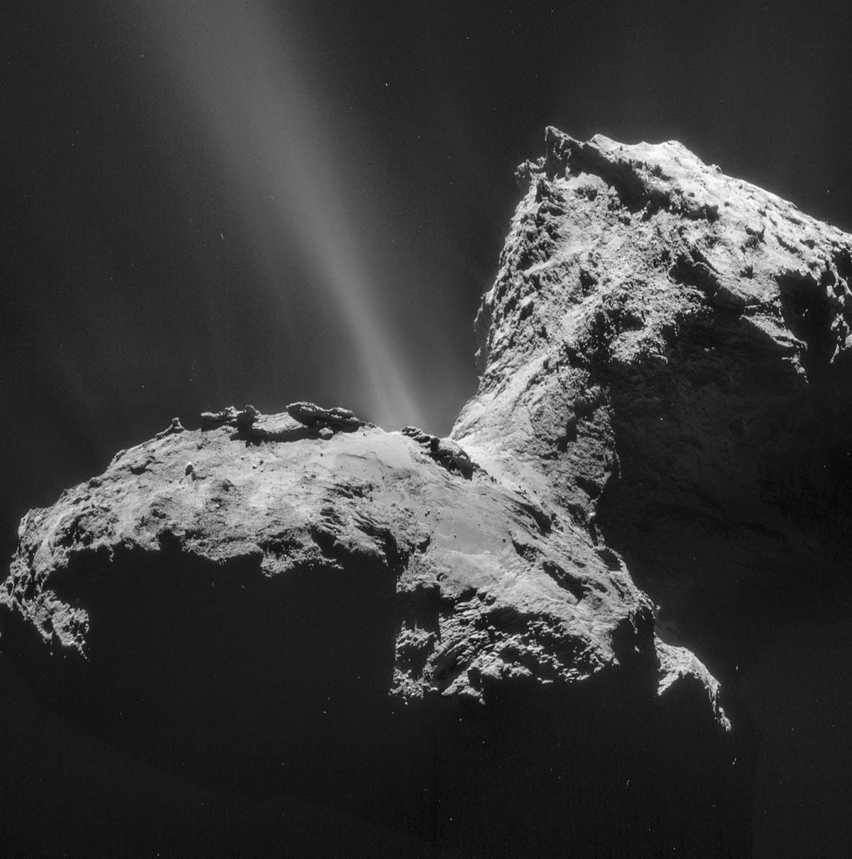 Panspermia, Octopuses, and Comets 2/6 | by Michele Diodati | Amazing ...
