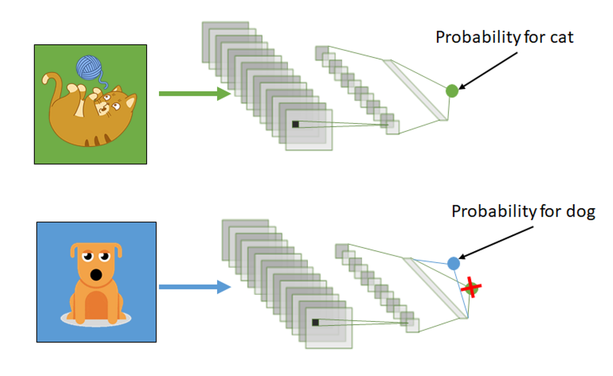 The Power of Transfer Learning in Computer Vision | by Salem O. | Medium