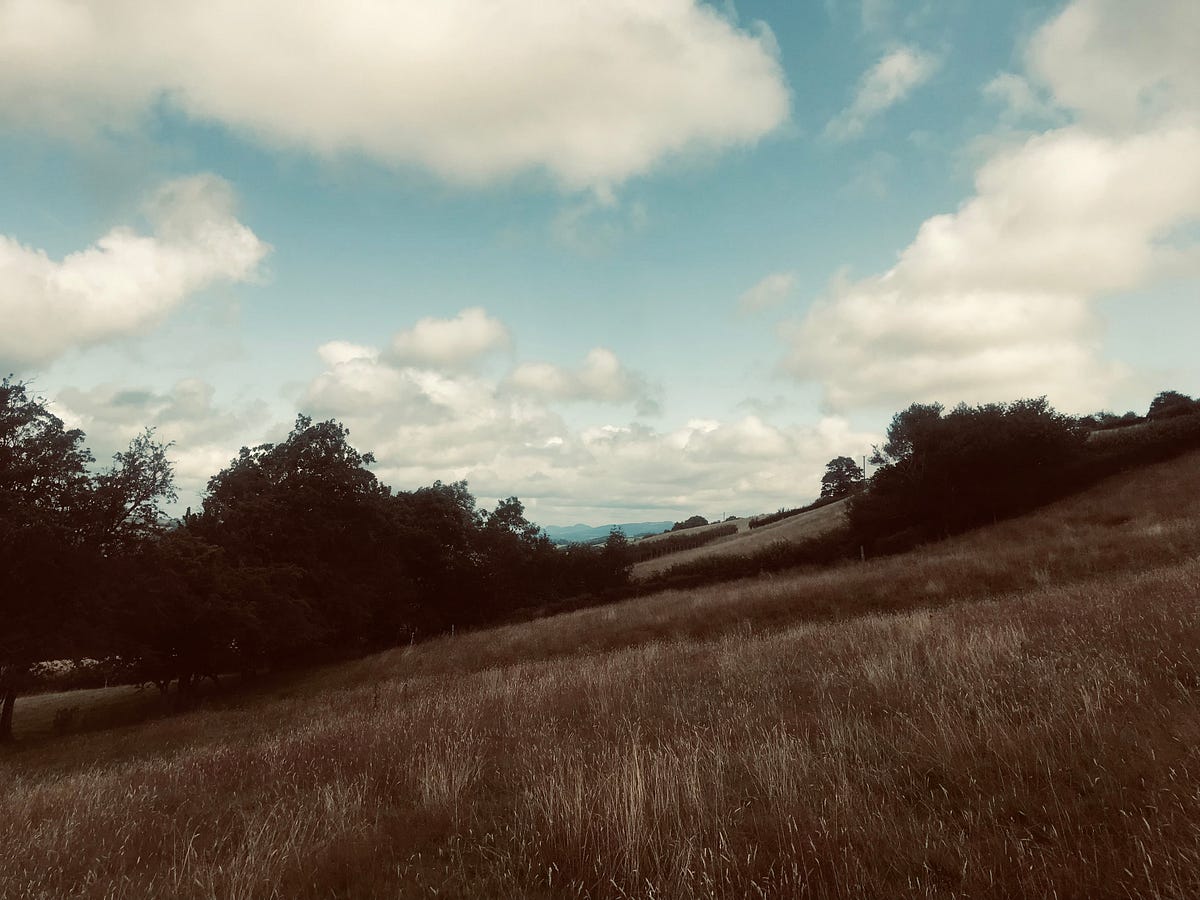 ‘Agor y drws’. The story of a dad being buried alive… | by Naomi Saul ...