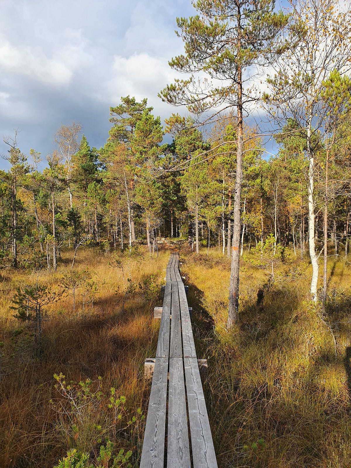 Bruksleden Trail:. How I walked a 8 day solo trip in… | by Kelly Jessy ...