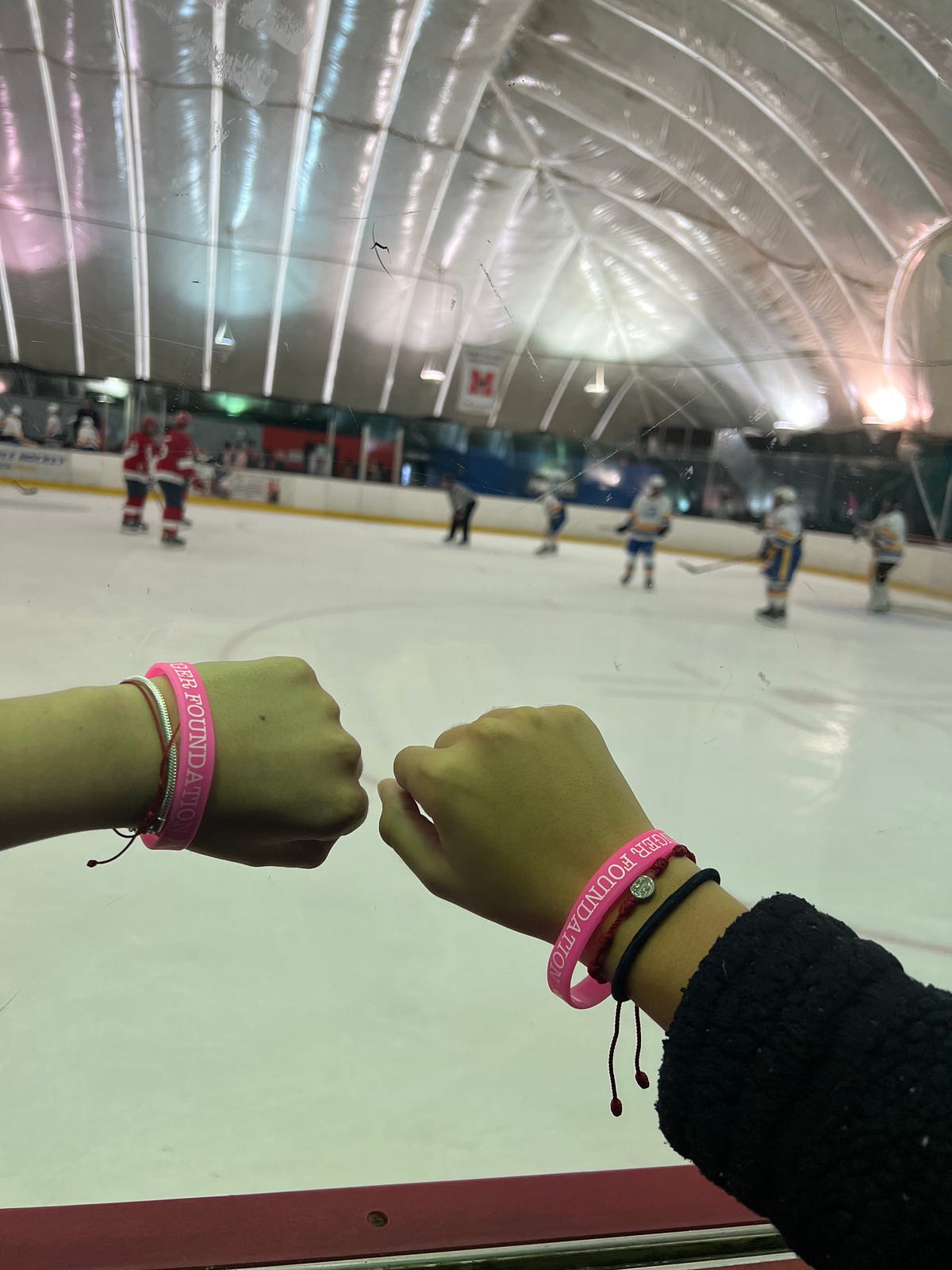 Hofstra University’s Ice Hockey team supports the Mena Singer Foundation | by Ariadne Morales ...