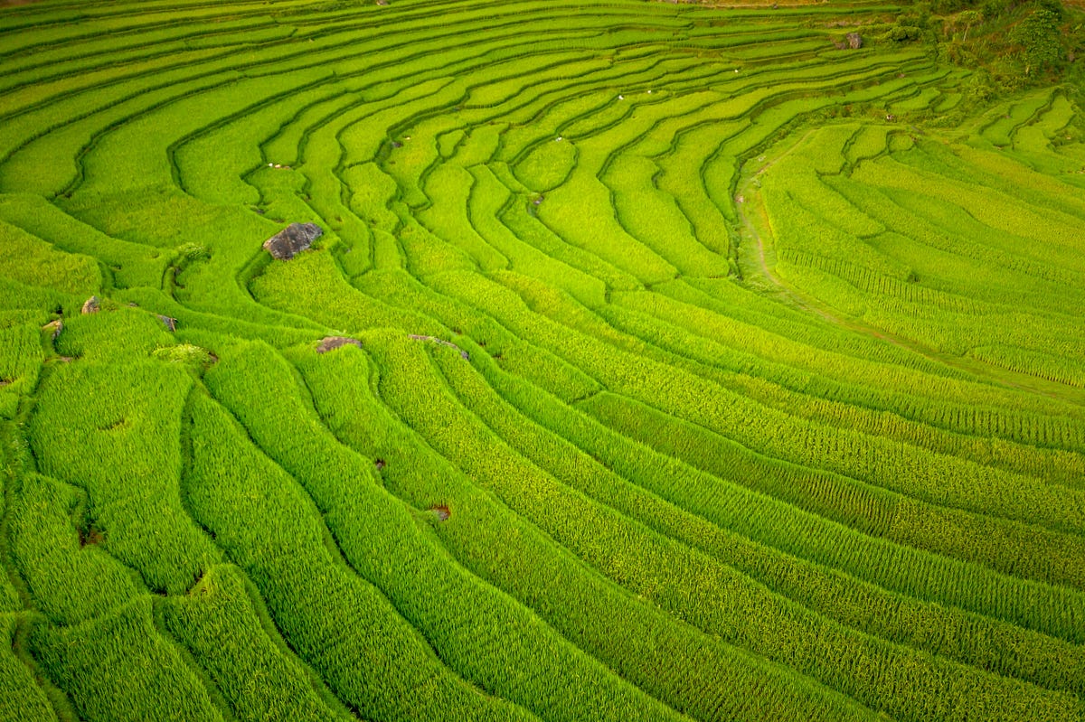 250 New crops found: Data become New buzz and creating data-driven ...