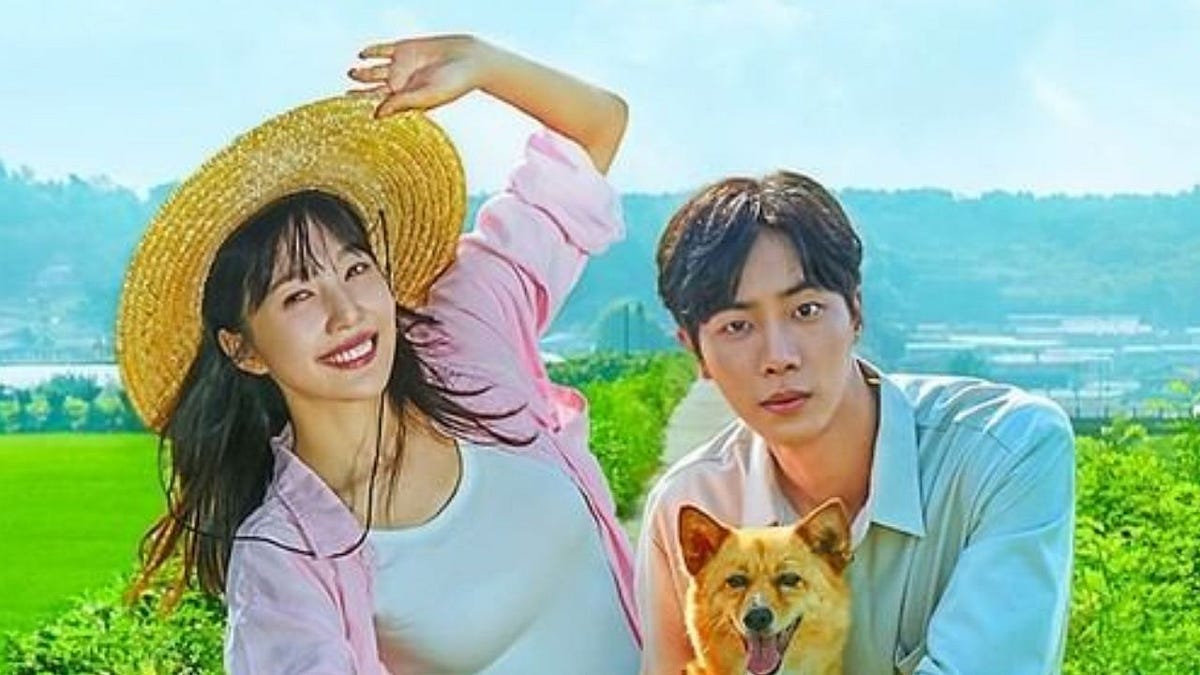 A Deliciosa “Amor Rural”. A comédia/drama/romance sul-coreana… | by ...