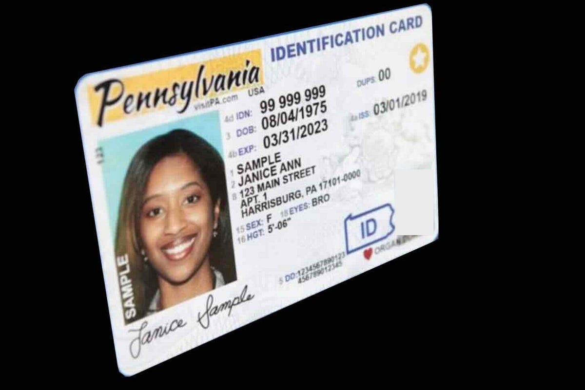 Face Detection from ID Cards in Python using OpenCV: Gamma Correction & Homography | by Daniel ...