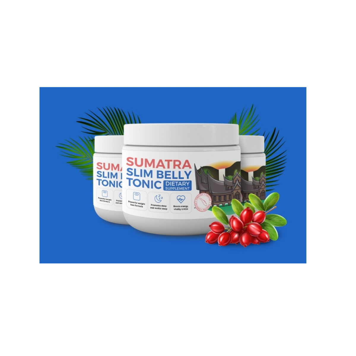 Title: A Comprehensive Review of Sumatra Slim Belly Tonic | by ...