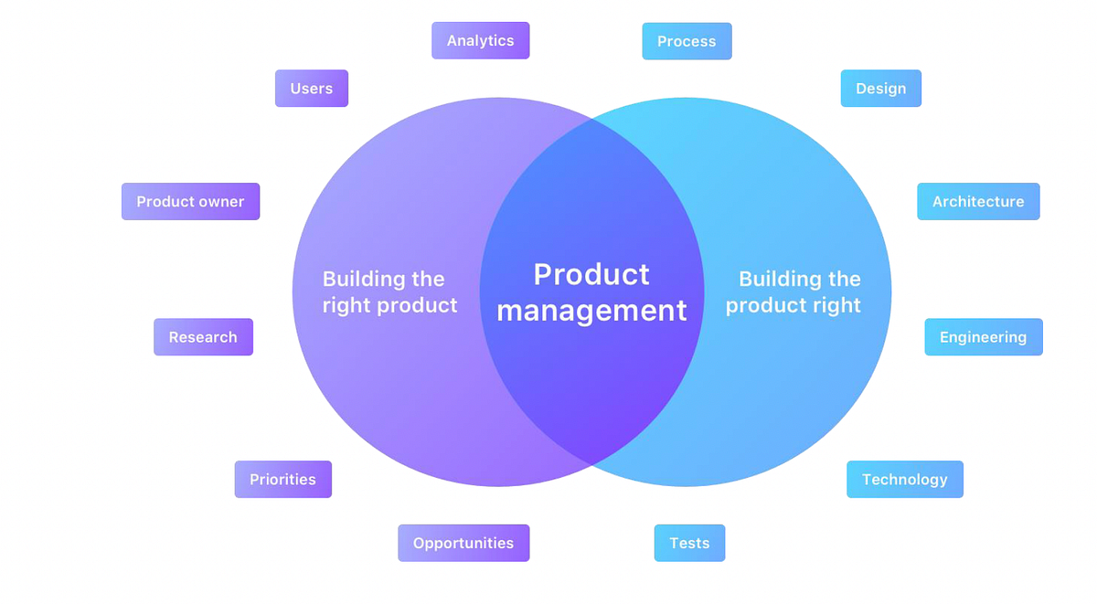 INTRODUCTION TO PRODUCT MANAGEMENT | by Funmilola Fanifosi | Medium