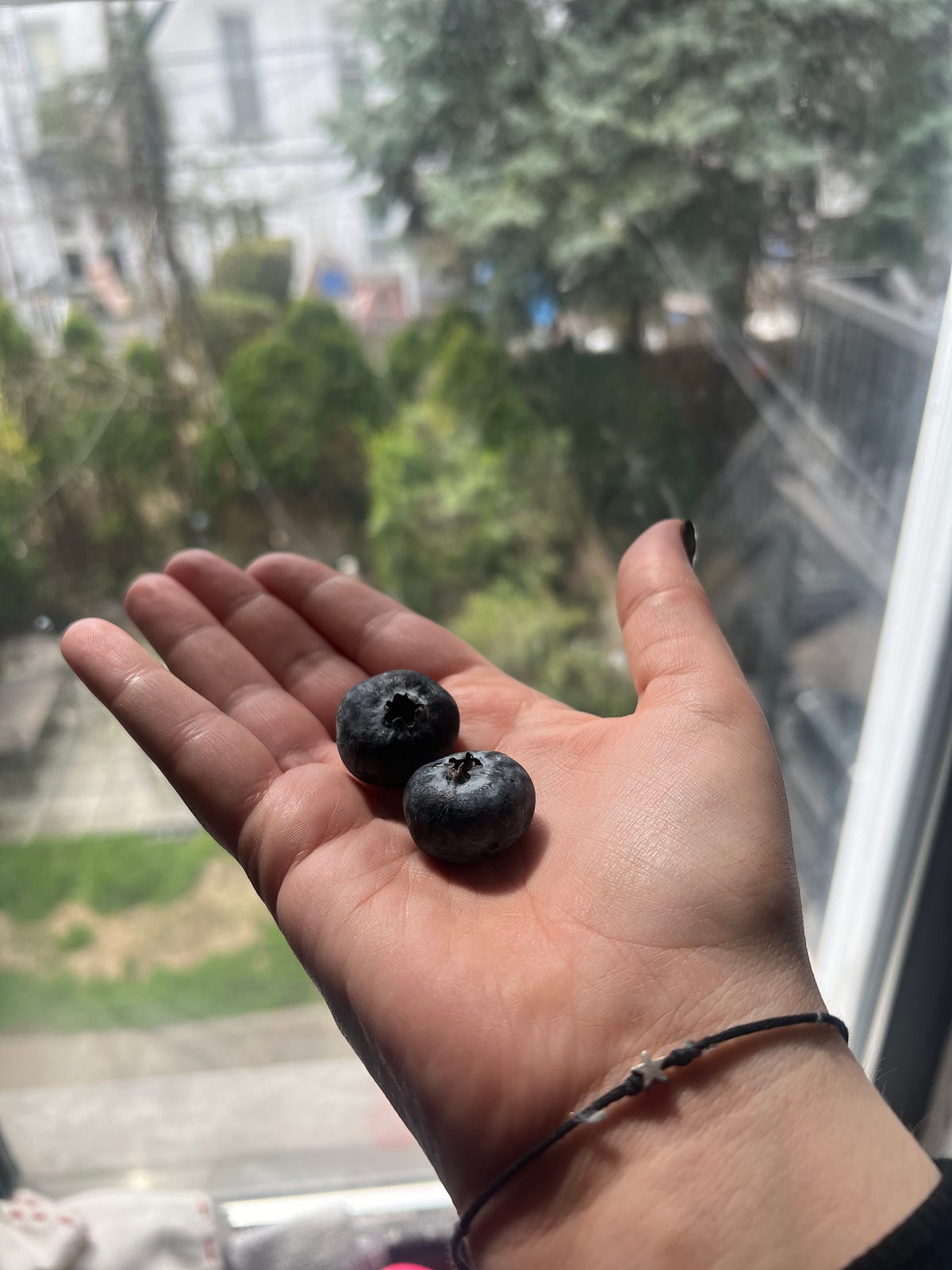 Happy May! I am back!. Just a little update from your friendly… | by ...