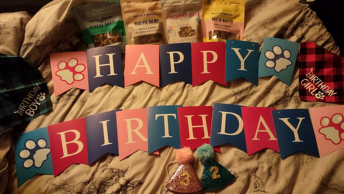 National Dog Day & Dog Birthdays! | by Ruby Noir 😈 | Pet Talks | Medium