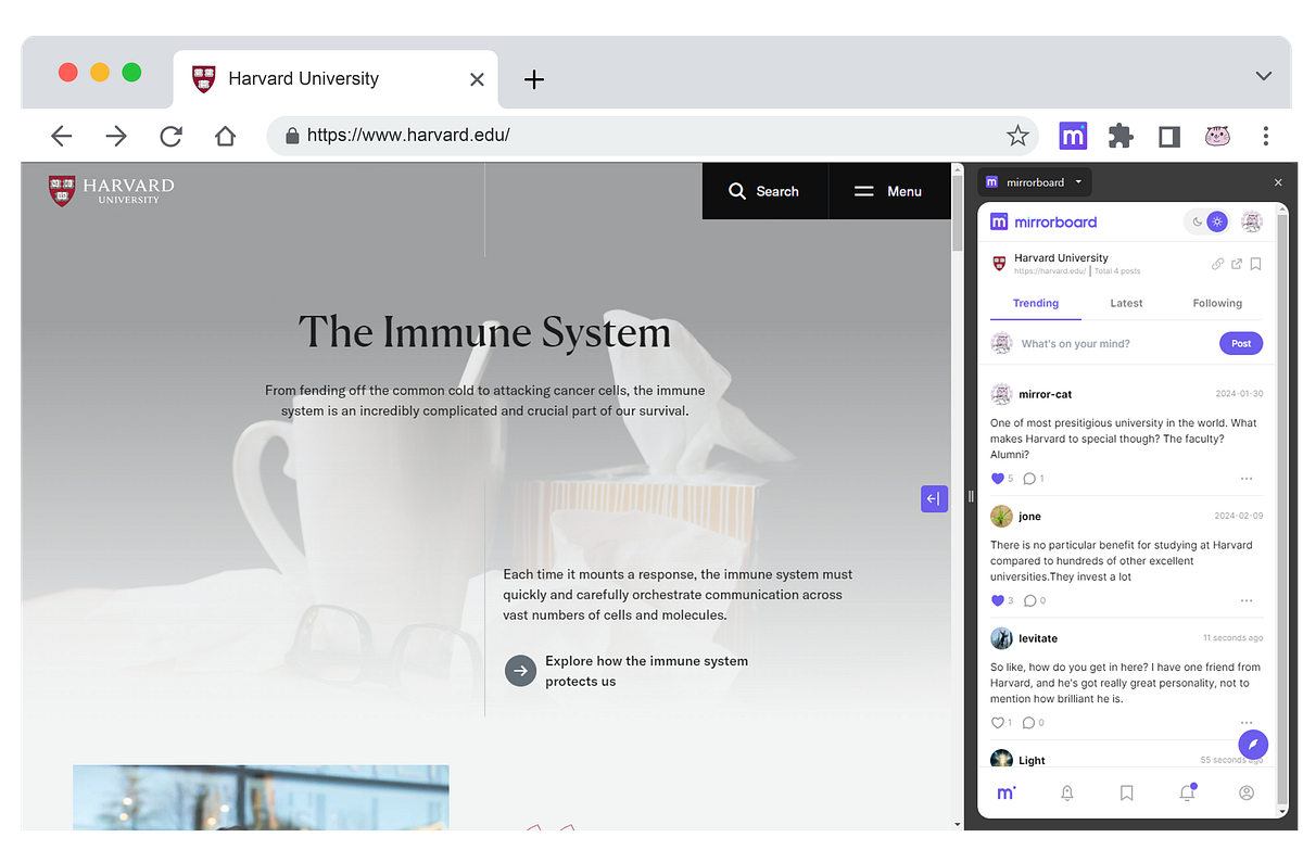 Beyond the Grade: mirrorboard — Transforming Education from Feedback to ...