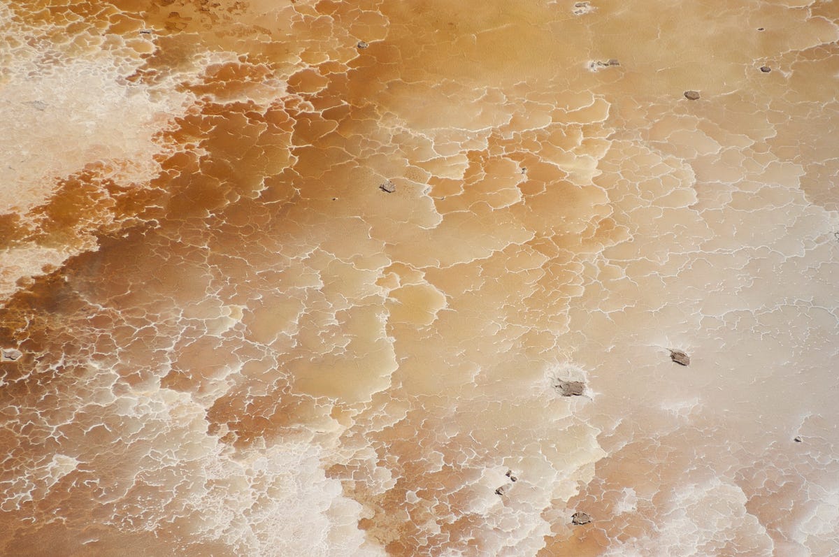 Salt of Sun and Sea. Free verse | by Jessica Lee McMillan | Lit Up | Medium