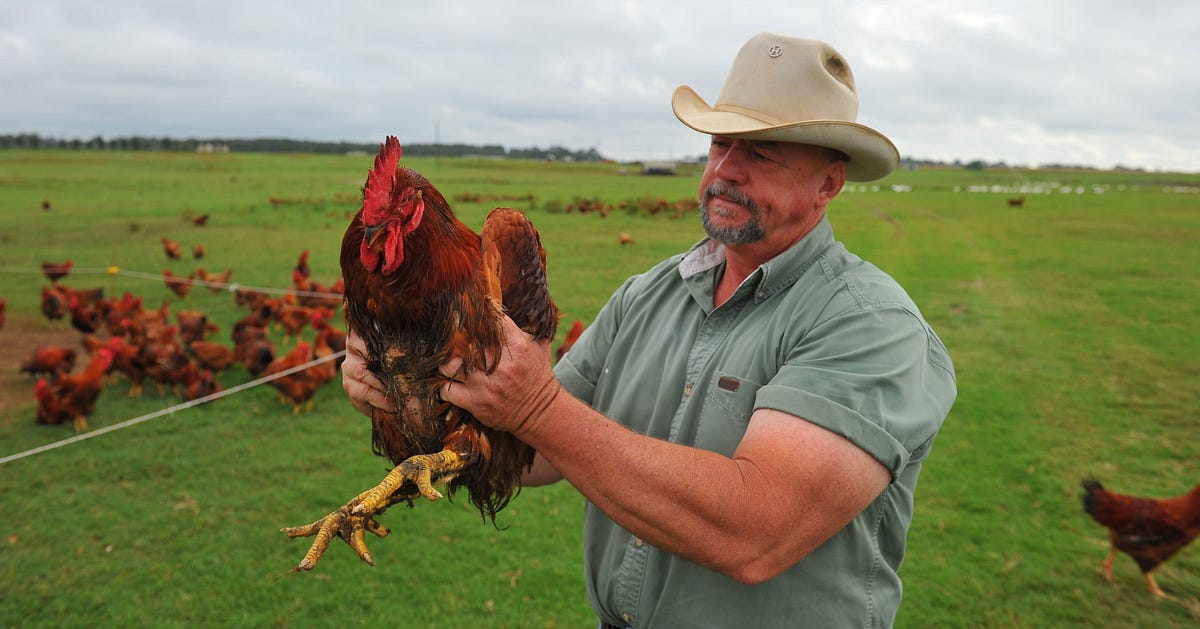 Interview with Will Harris of White Oak Pastures | by Craig Cannon ...