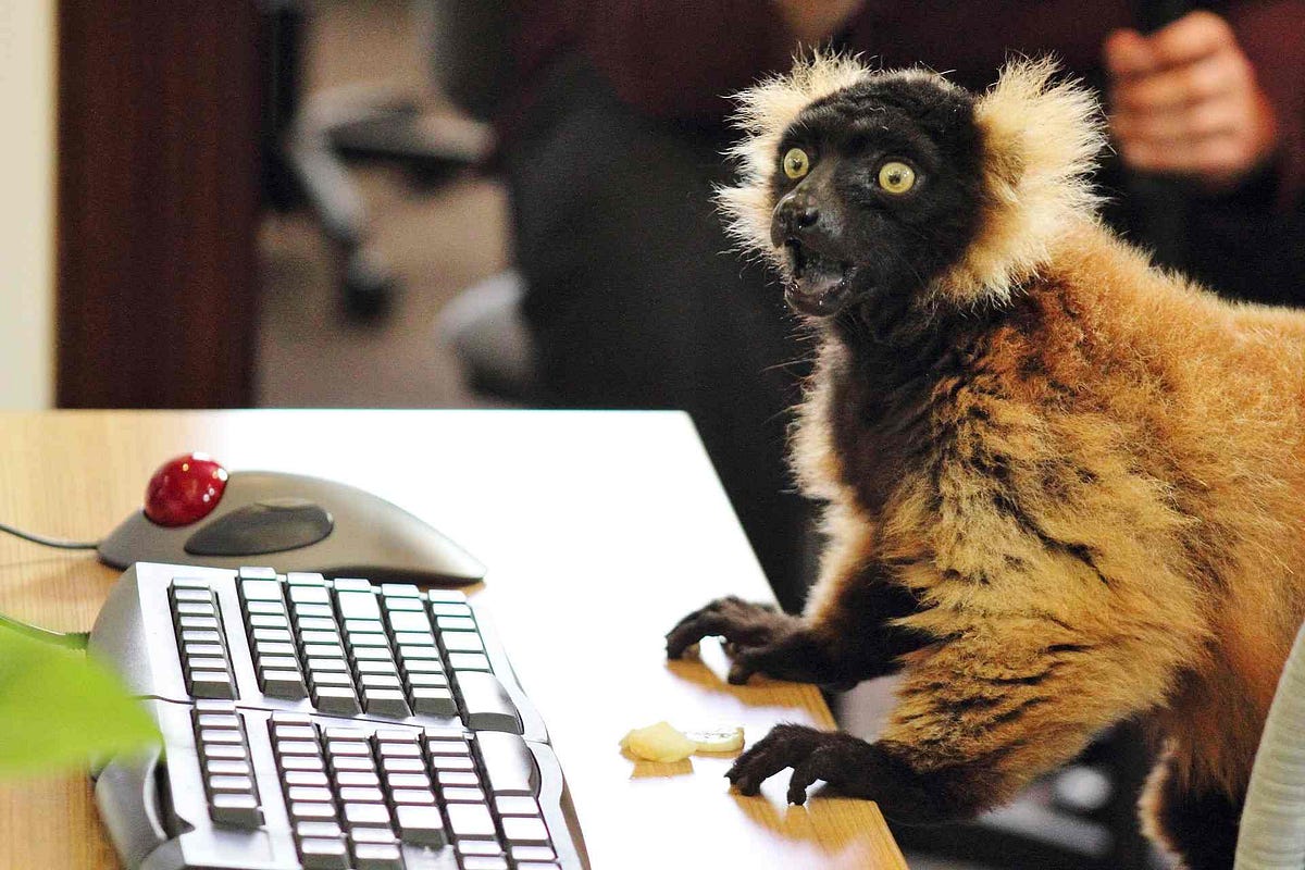 Machine Coding Round — What Is It And How To Crack It By Kp Medium