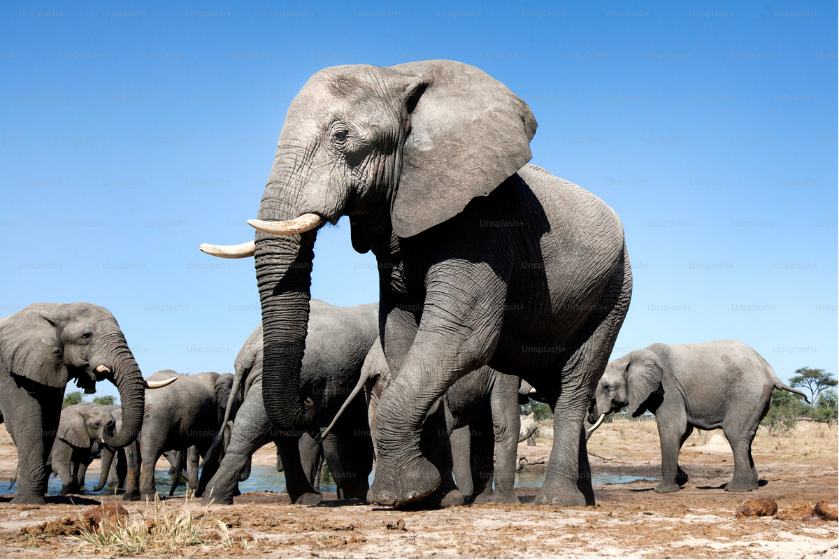 Avoiding common mistakes in Gradle plugin development | by Dmitry ...