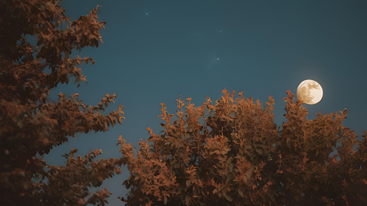 tonight, the moon shines bright | by disha | Medium