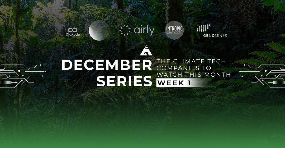 The Climate Tech Startups to Watch This Month: December Week 1 | by ...