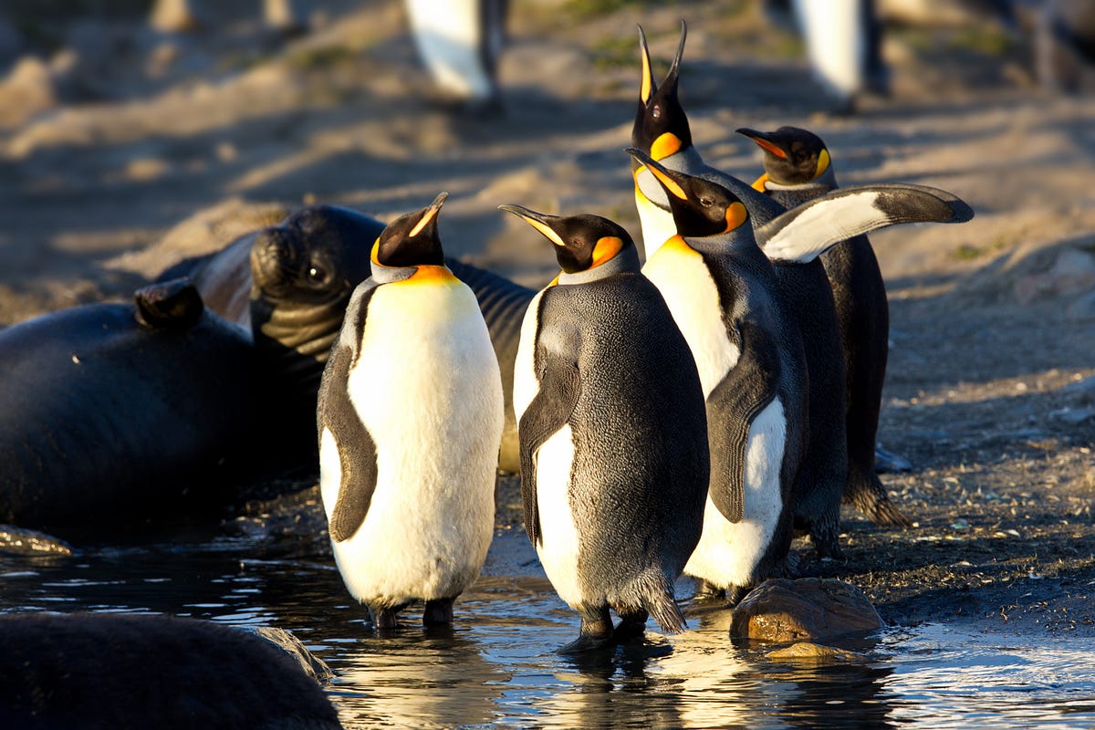 What Are The Benefits Of ABM?. Talking about ABM in the penguin staff ...