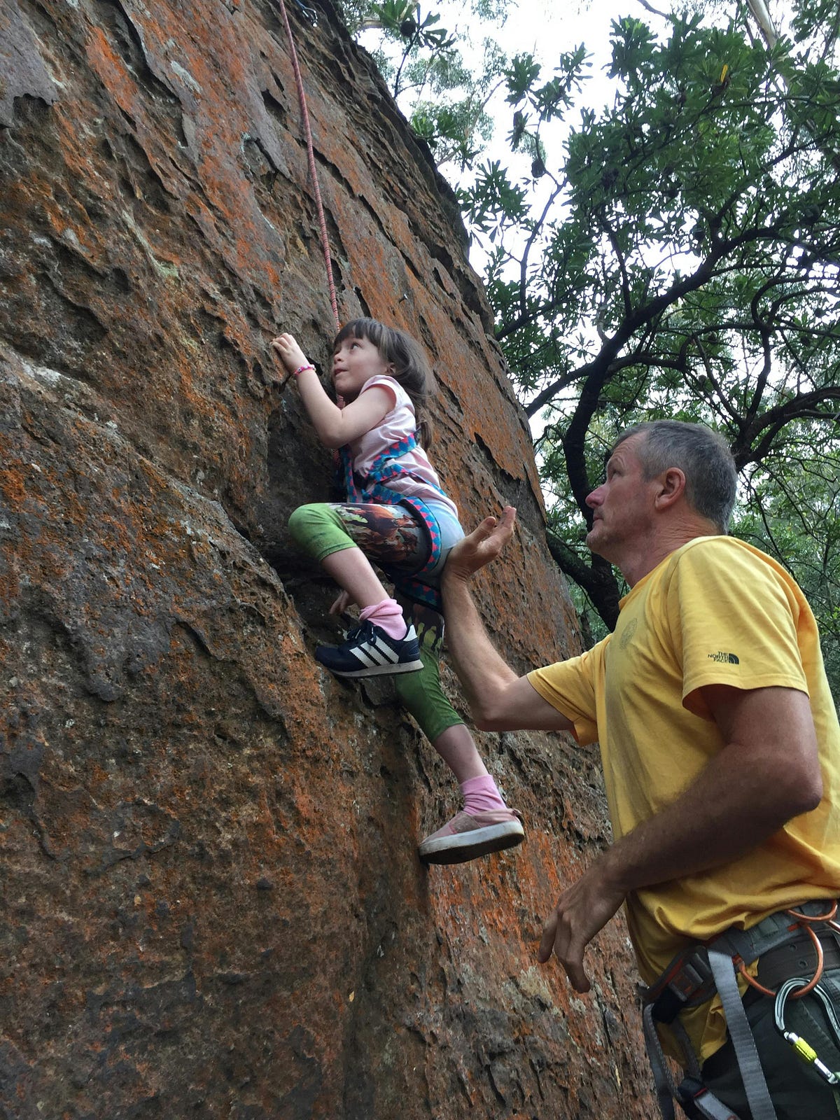The Unyielding Power of Carrying On: Why Persistence Prevails | by ...