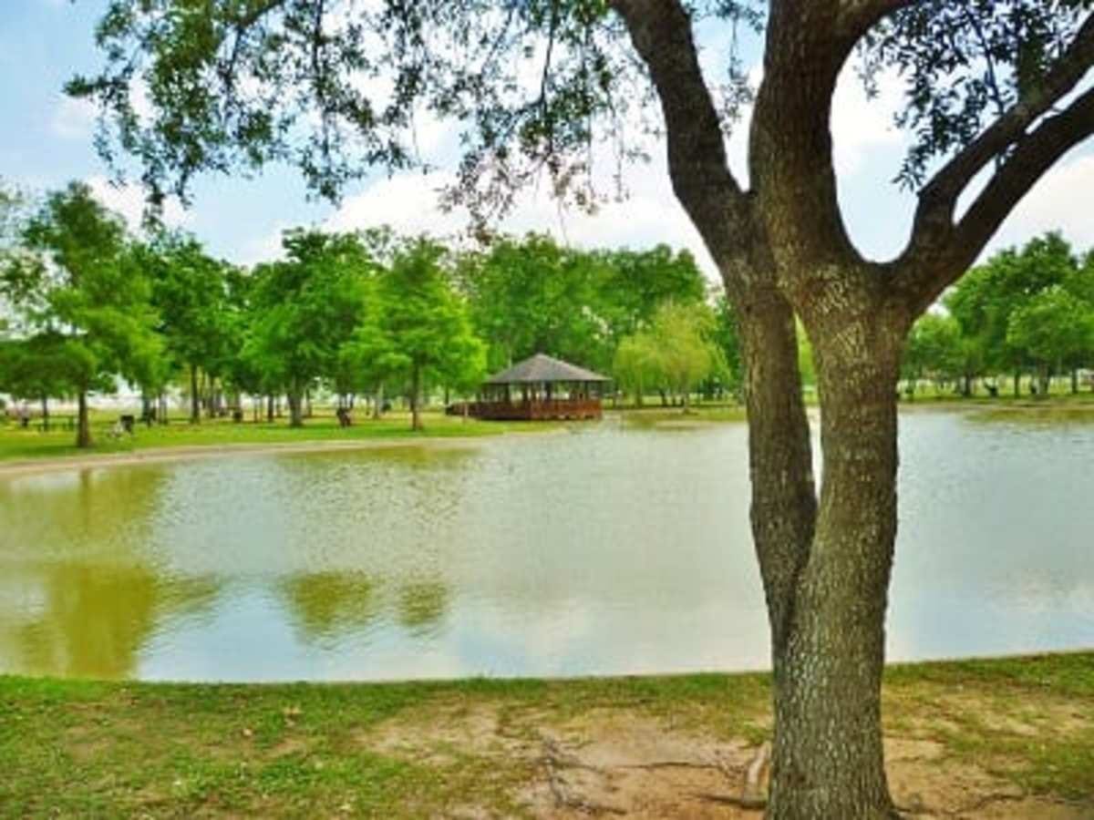 Arthur Storey Park. Arthur Storey Park: A Tranquil Oasis in… | by OT BB ...
