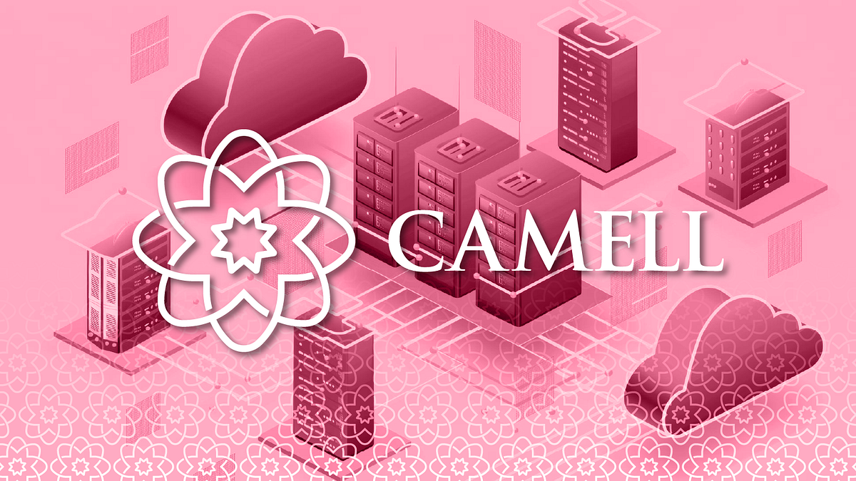 Expanding Camell: Bridging Online and Offline Services through O2O ...