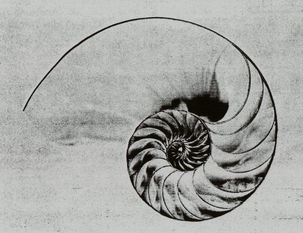 Shelling Out. Learn the shell early in your… | by ? | Medium