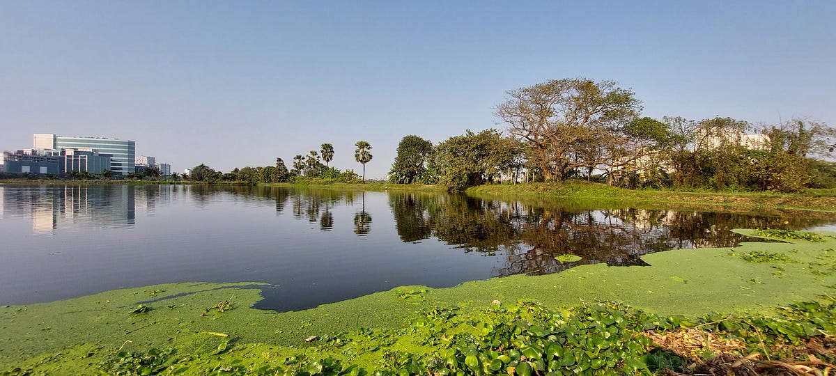 Urban Waterscapes: Resilient Planning for Future Sustainable Cities ...
