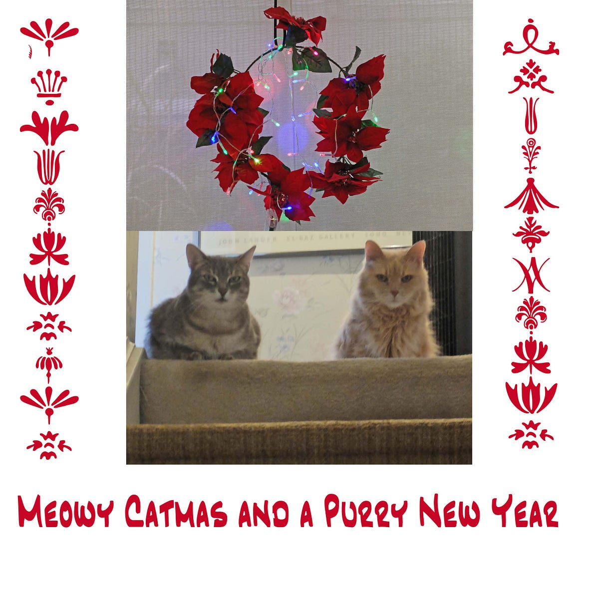 A Very Meowy Christmas to All - Catness - Medium