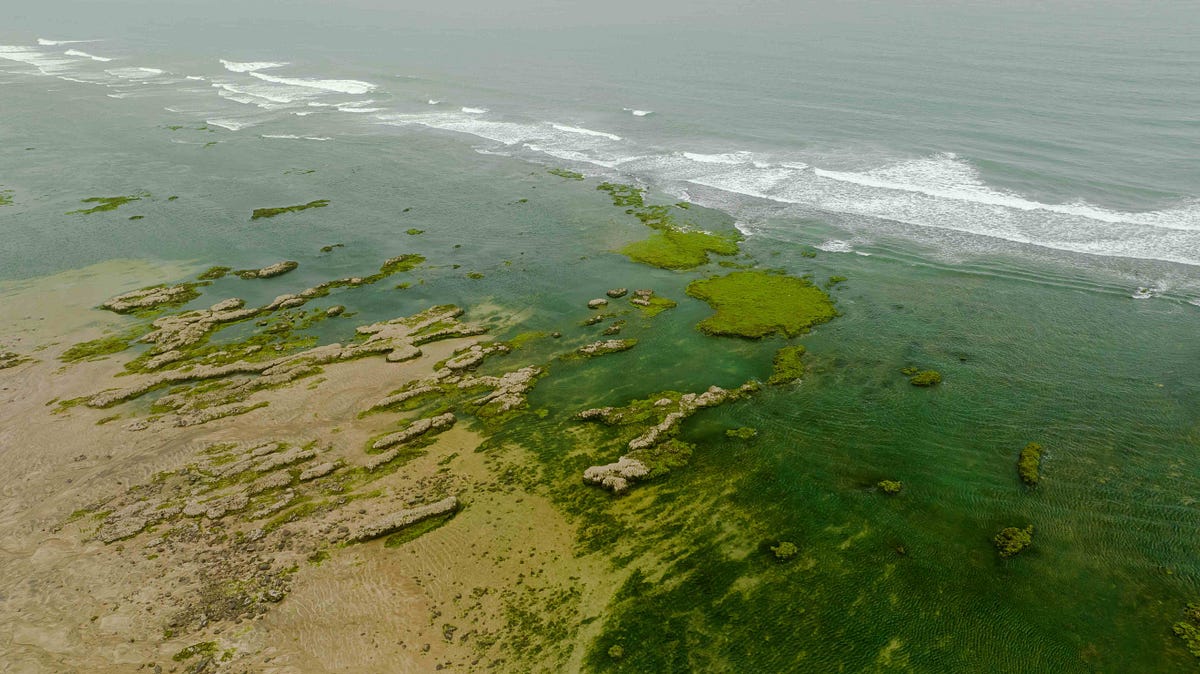 The Mystery of the Indian Ocean Geoid Low | by INFO BOOST | Medium