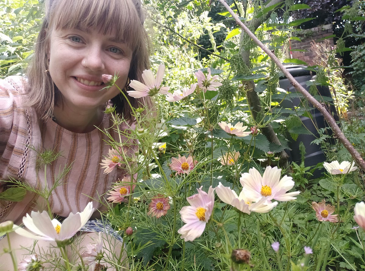 How to garden with annual flowers while renting | by Sarah Rose ...