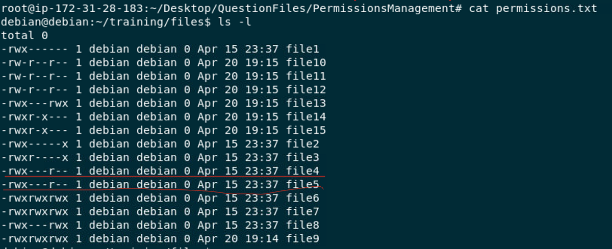 Letsdefend Walkthrough| Linux for Blue Team | by Dhruv Bhatia | Medium