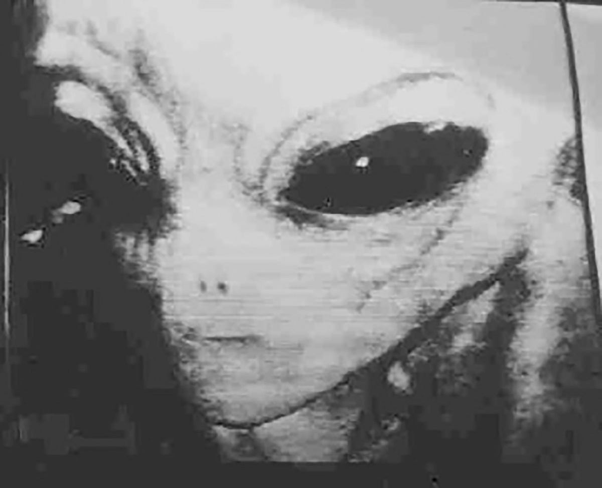 Shy UFOs. It may just be a coincidence, but has… | by Don Waitt | Medium