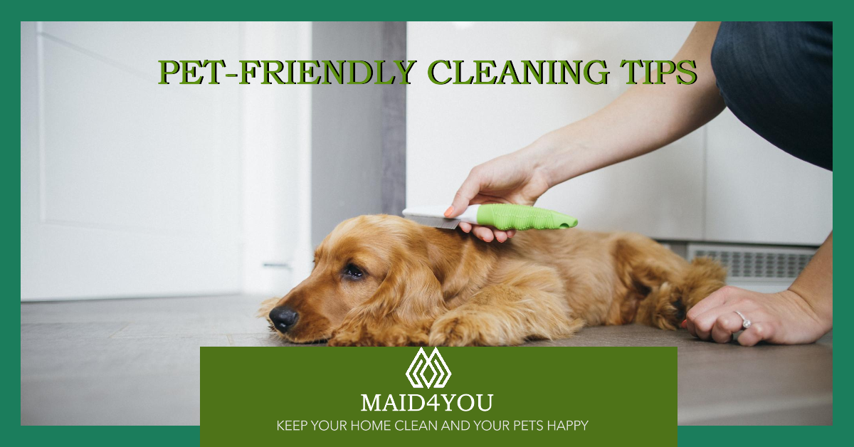 Maintaining a Clean Home with Pets: Maid4You’s Comprehensive Guide to ...