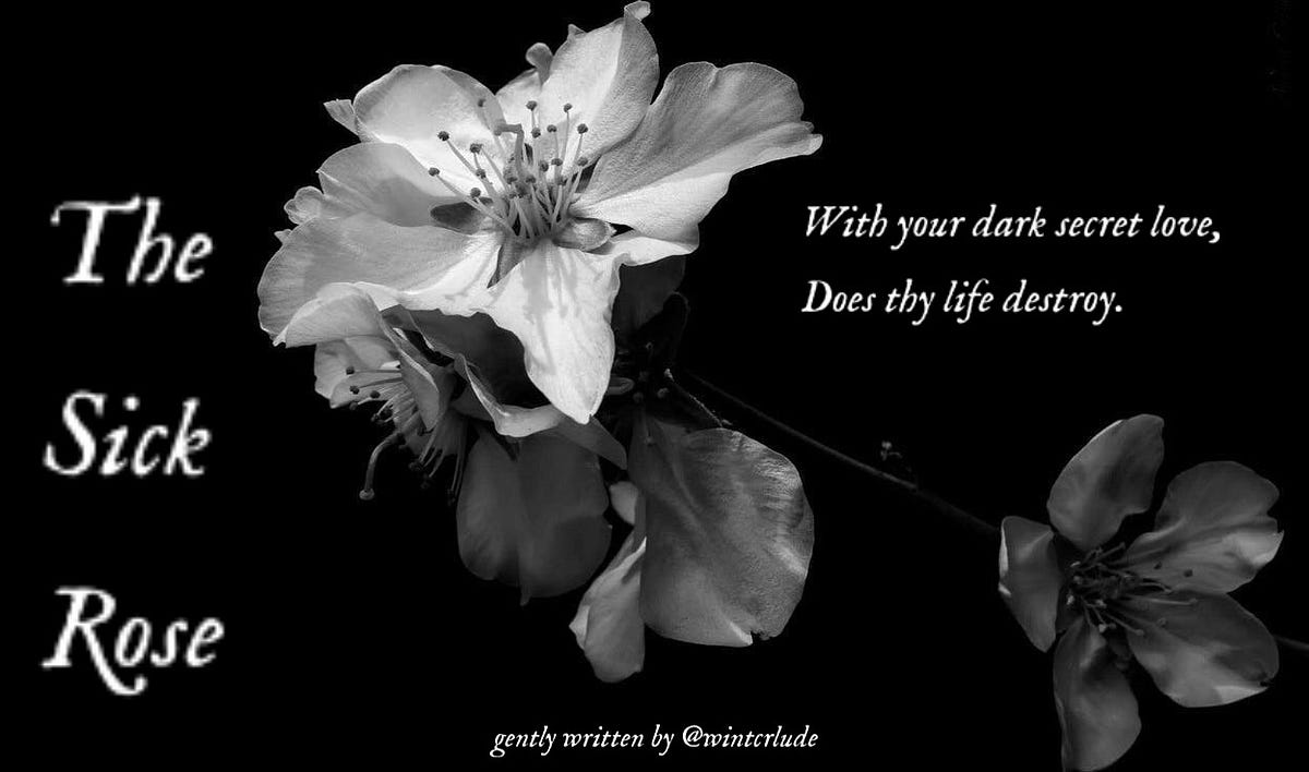 The Sick Rose. 2 PM, and it starts raining outside… | by Lou | Medium