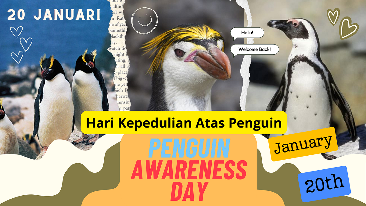 Penguin Awareness Day: Six Flightless Bird Philosophies That Inspire ...