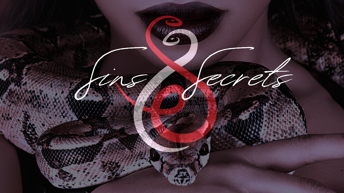 My Secret Fantasy: Imagining My Wife with My Best Friend Changes Everything by Sheba Reigns | by ...