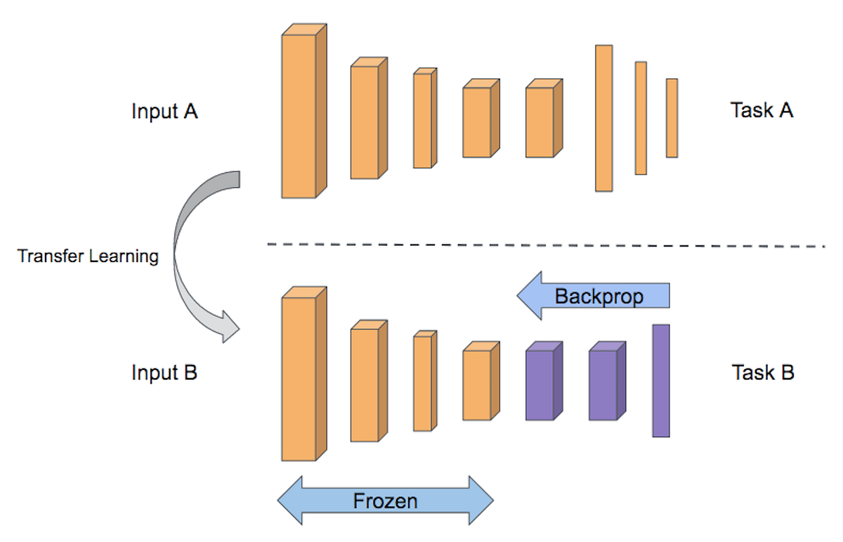 Transfer learning using Tensorflow | by Subodh Malgonde | Medium