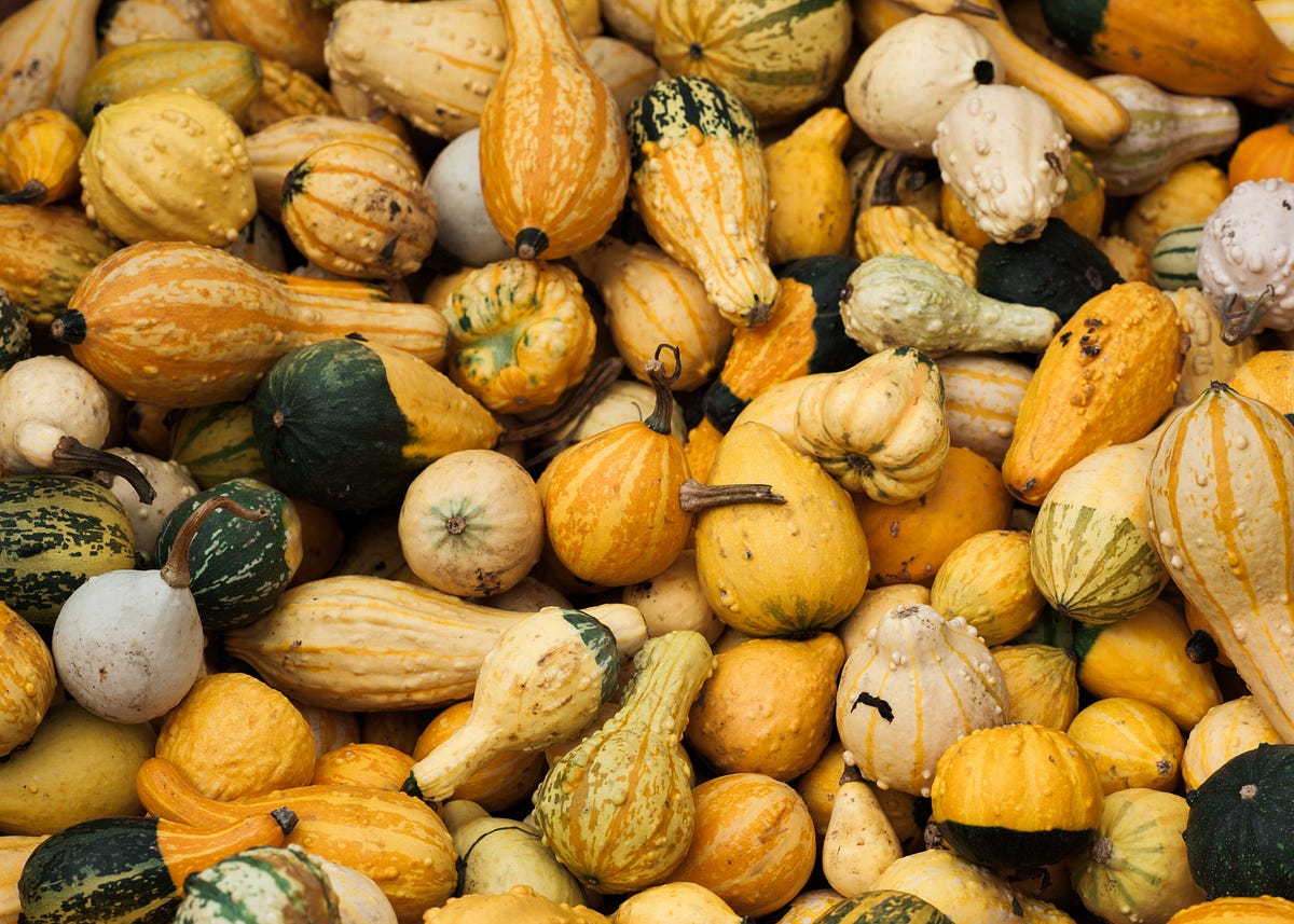 Being A Spaghetti Squash In A Pumpkin Carving World | by Emily ...