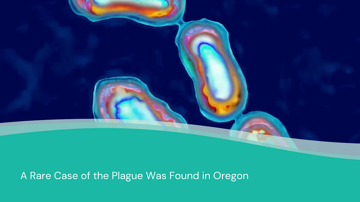 A Rare Case of the Plague Was Found in Oregon | by Jase Medical | Feb ...