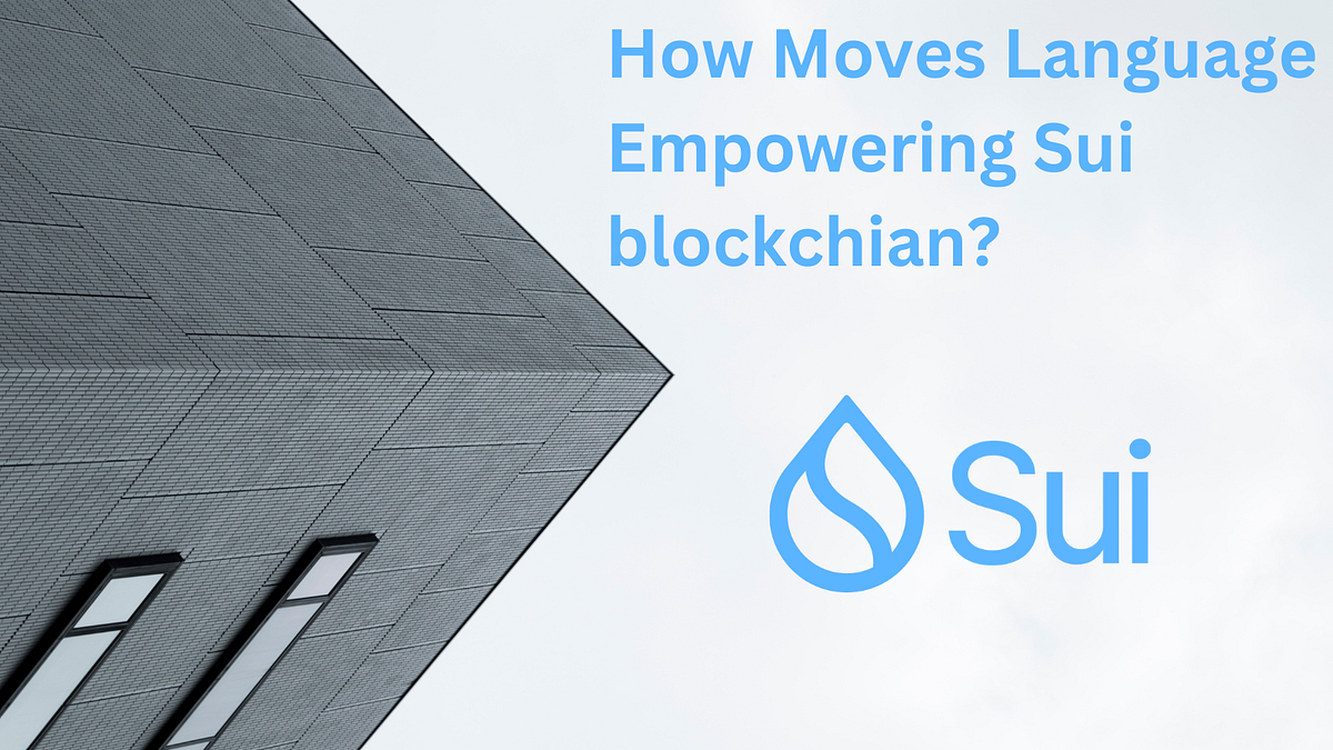 How Moves Language Empowering Sui blockchian? | by I for business | Coinmonks | Feb, 2024 | Medium