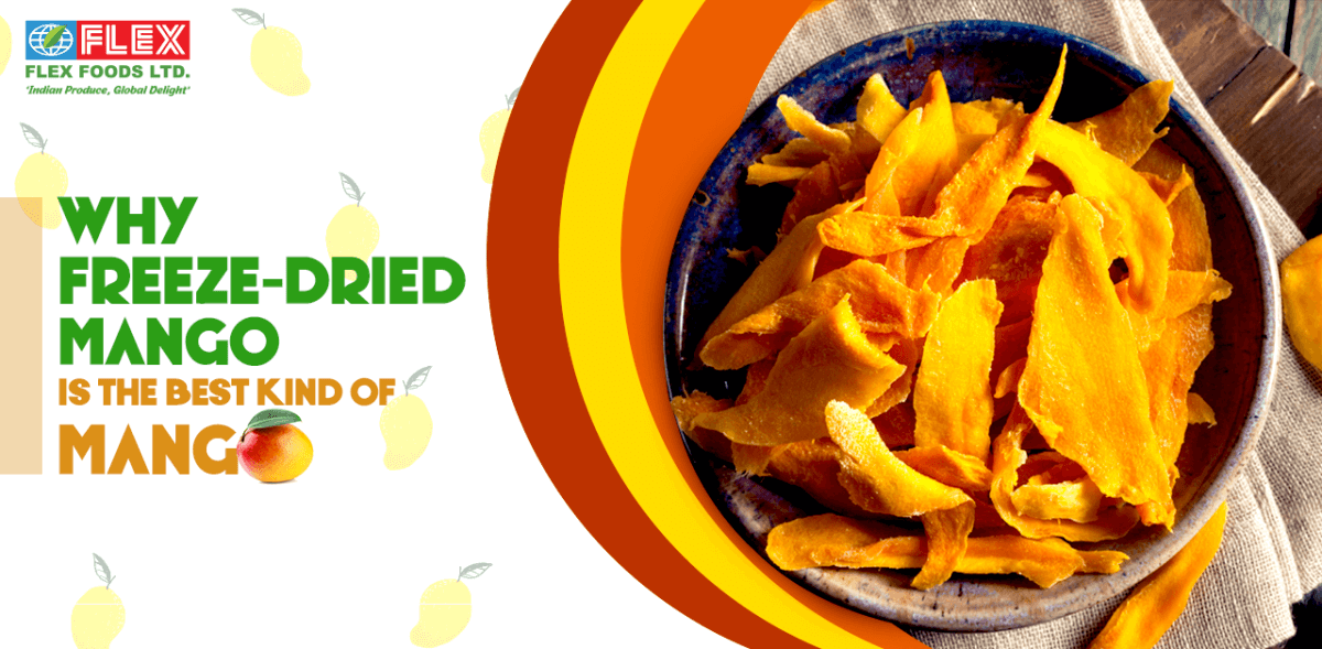 Why Freeze-Dried Mango is the Best Kind of Mango - Flexfoodin - Medium