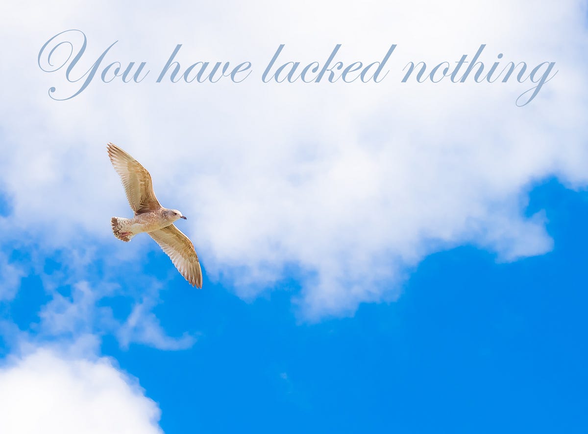 Never Take God for Granted. “‘For the Lord your God has blessed you ...